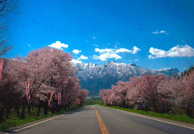 What to do and see in Furano in May | Hokkaido Bashō trip | Hokkaido's ...