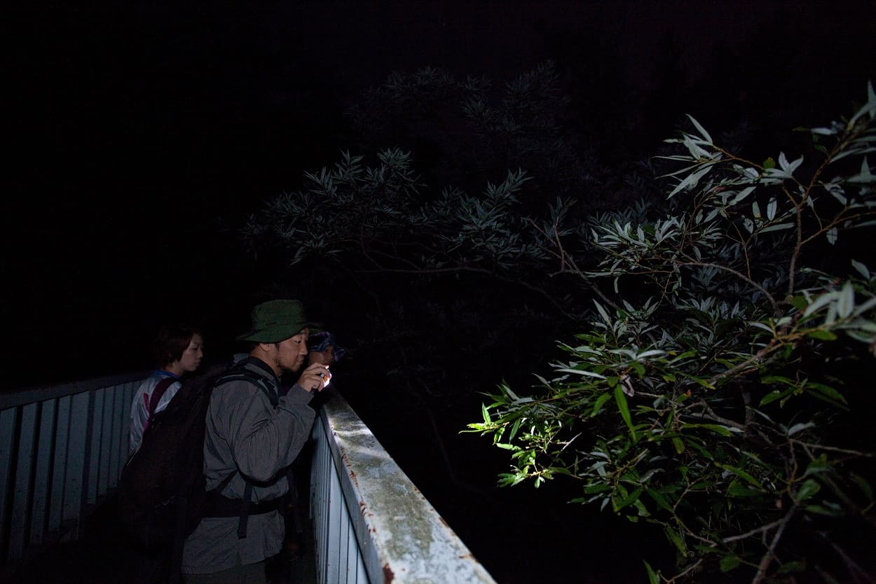 【May-Sep/Sapporo】Night picnic in the night forest (with wine and ...